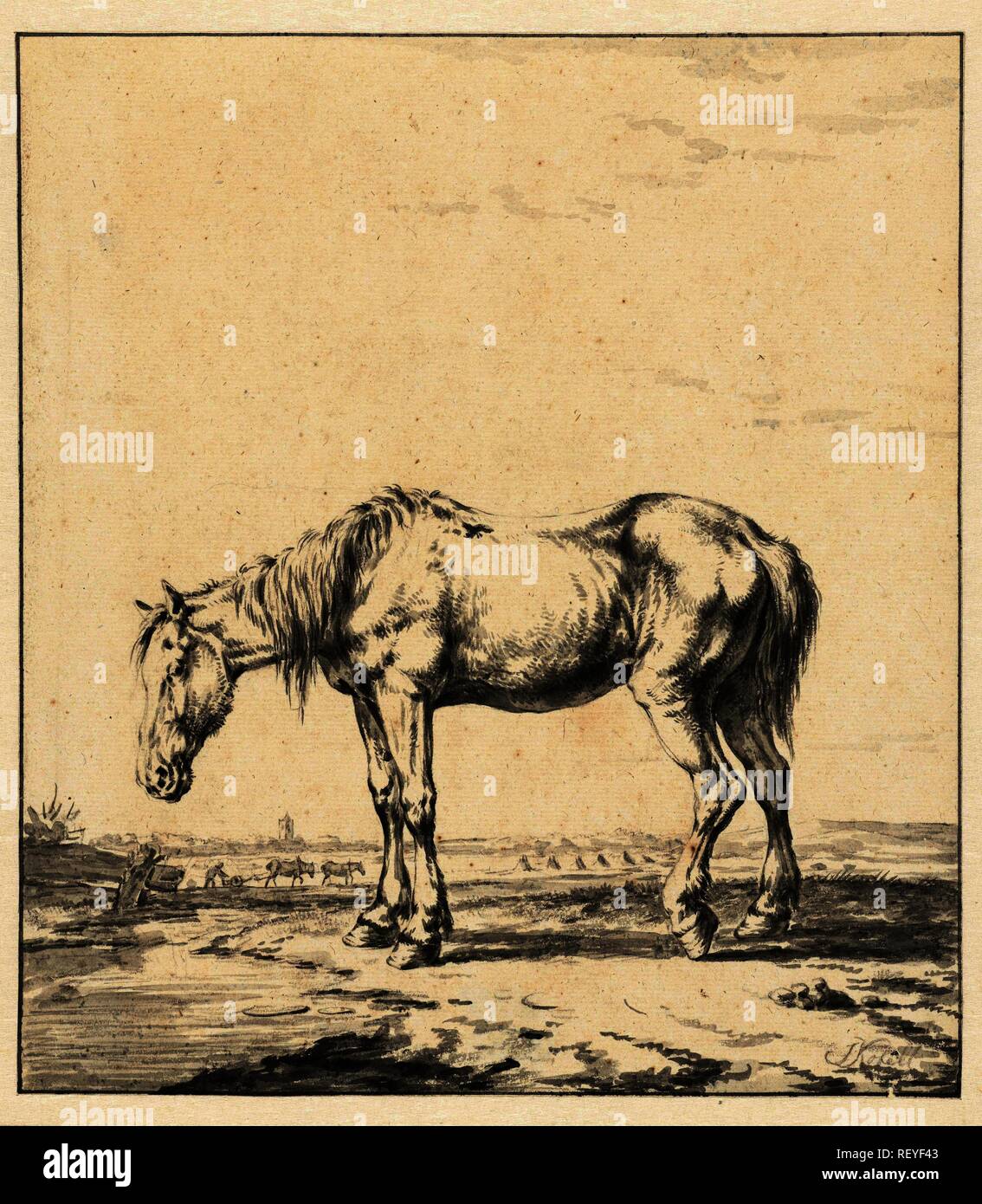 Old horse standing by a water. Draughtsman: Jan Kobell (II). Dating ...