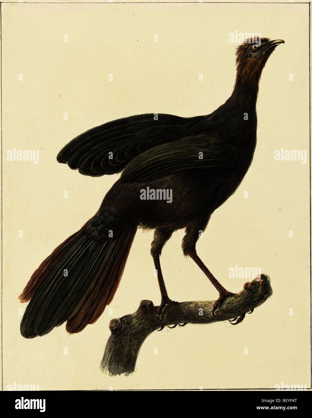 H 332 mm hi-res stock photography and images - Alamy