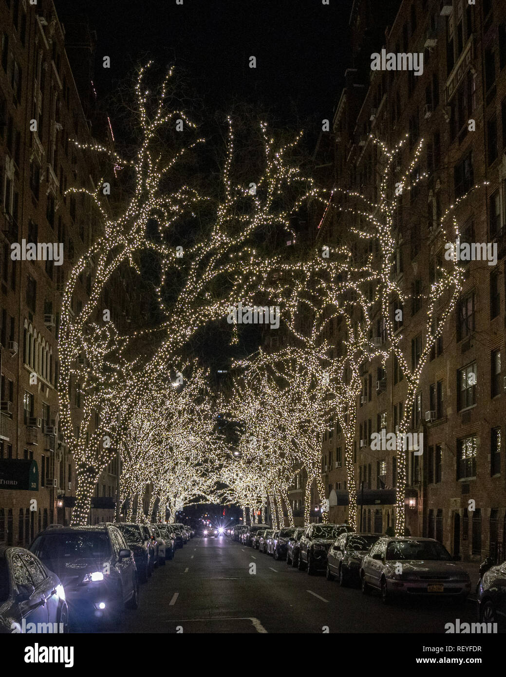Images Of Lit Trees With Lights