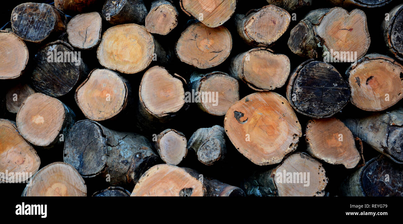 tree wood texture background Stock Photo - Alamy