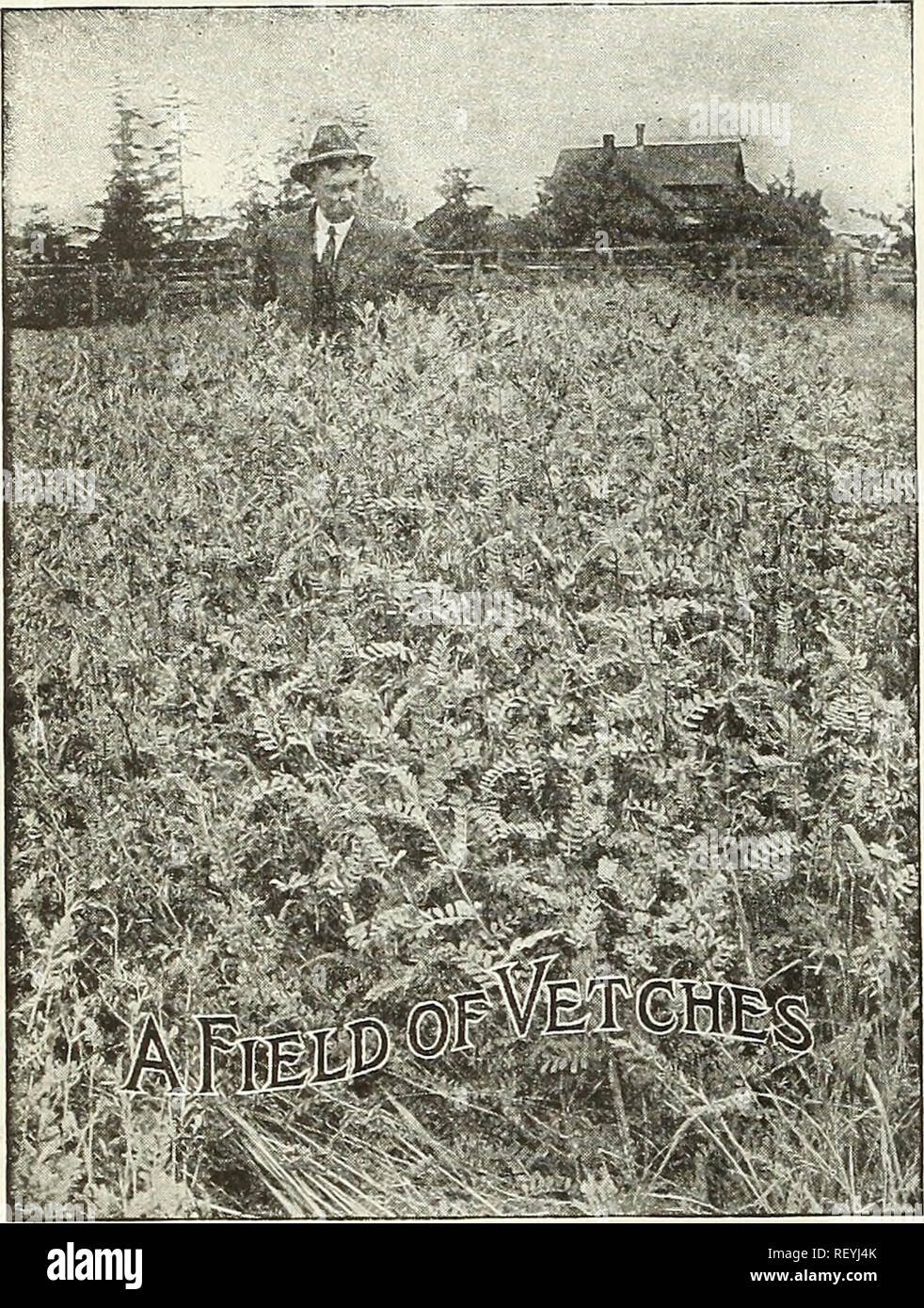 Sowing tares hi-res stock photography and images - Alamy
