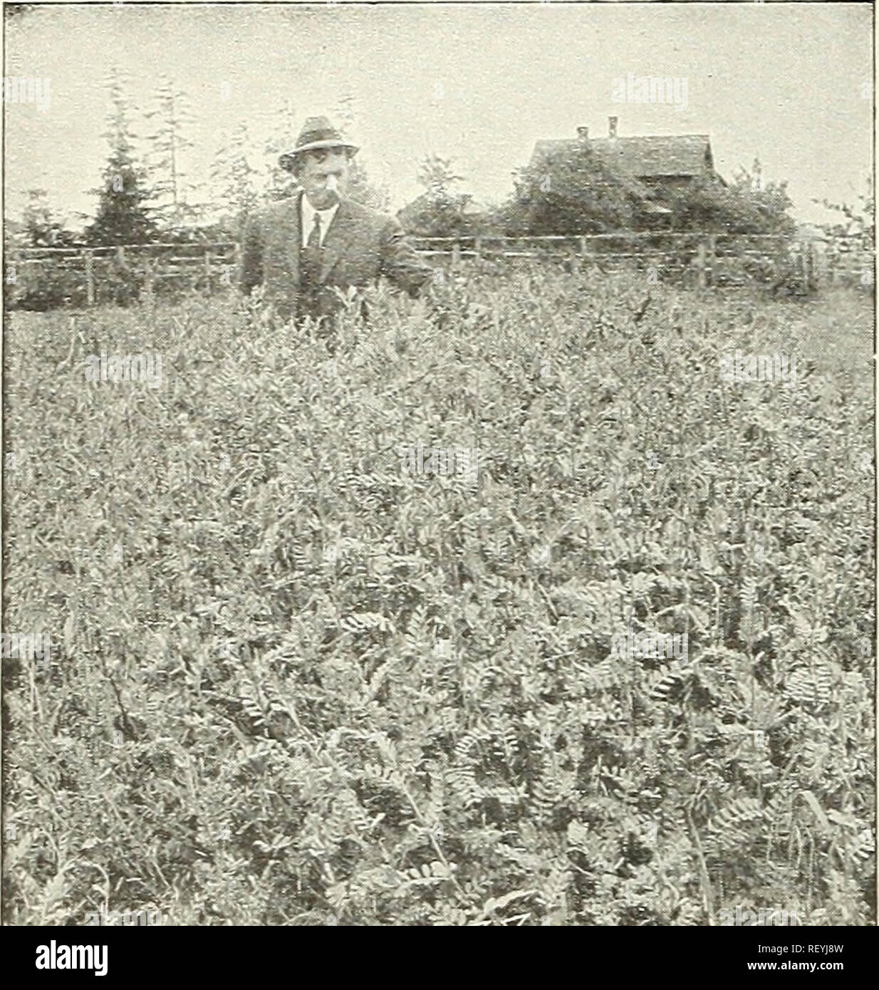 Sowing tares hi-res stock photography and images - Alamy