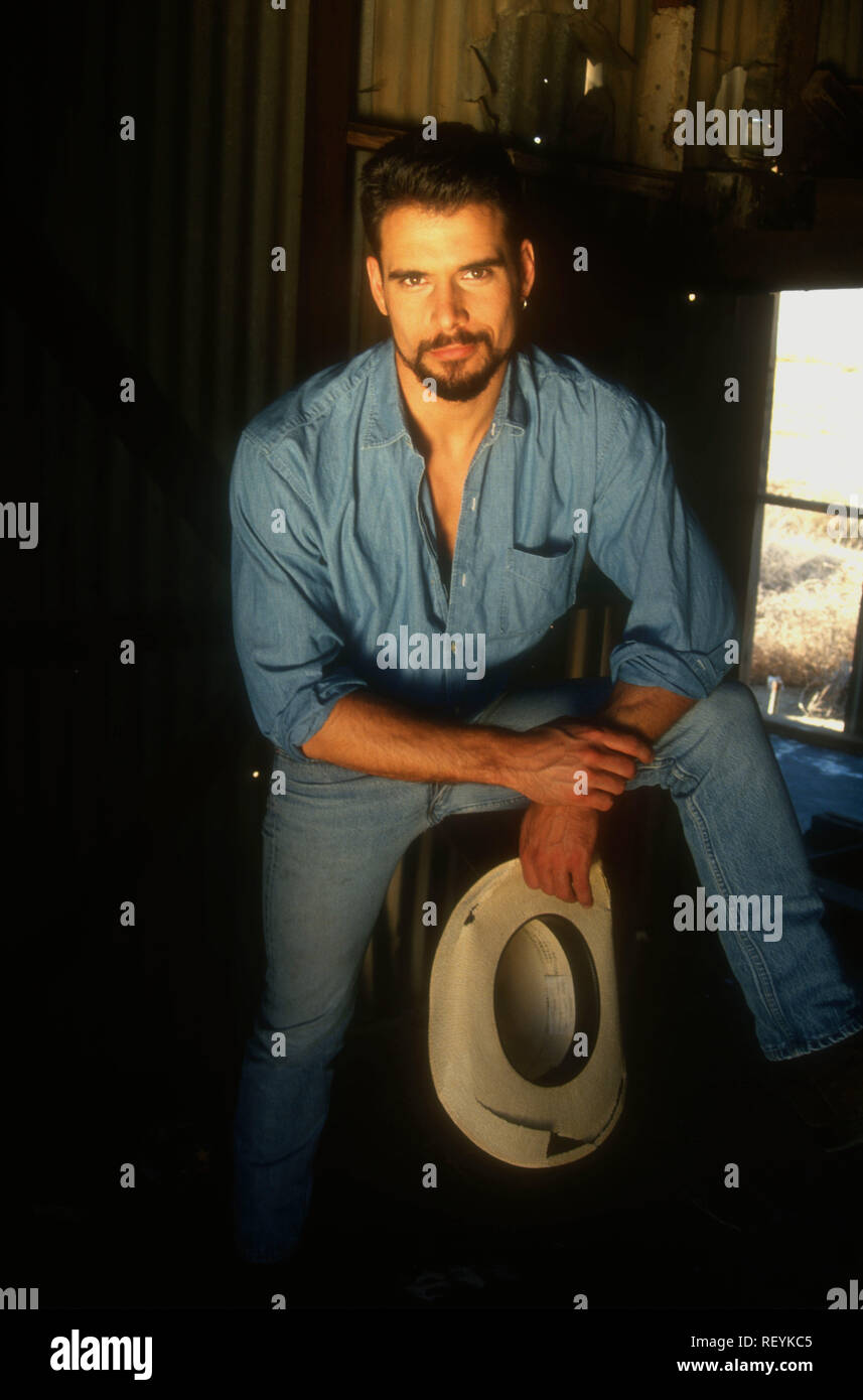 LOS ANGELES, CA - OCTOBER 24: (EXCLUSIVE) Actor Robert Kelker-Kelly ...