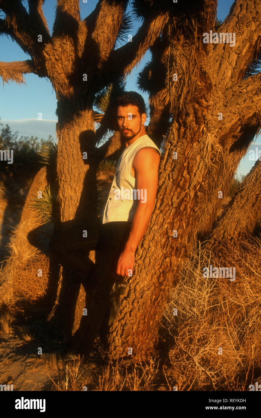 LOS ANGELES, CA - OCTOBER 24: (EXCLUSIVE) Actor Robert Kelker-Kelly ...