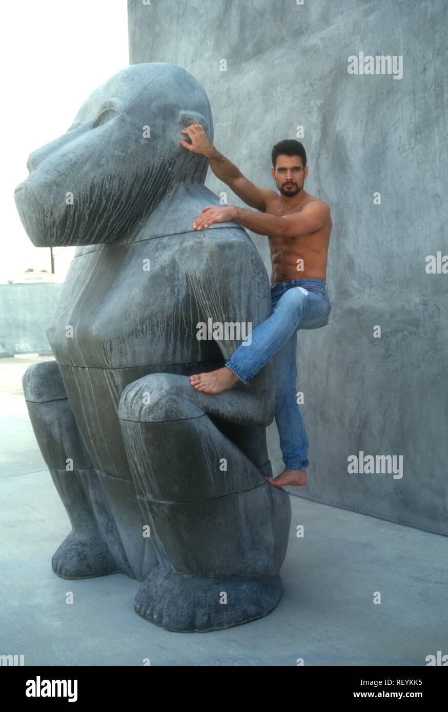 LOS ANGELES, CA - OCTOBER 24: (EXCLUSIVE) Actor Robert Kelker-Kelly ...