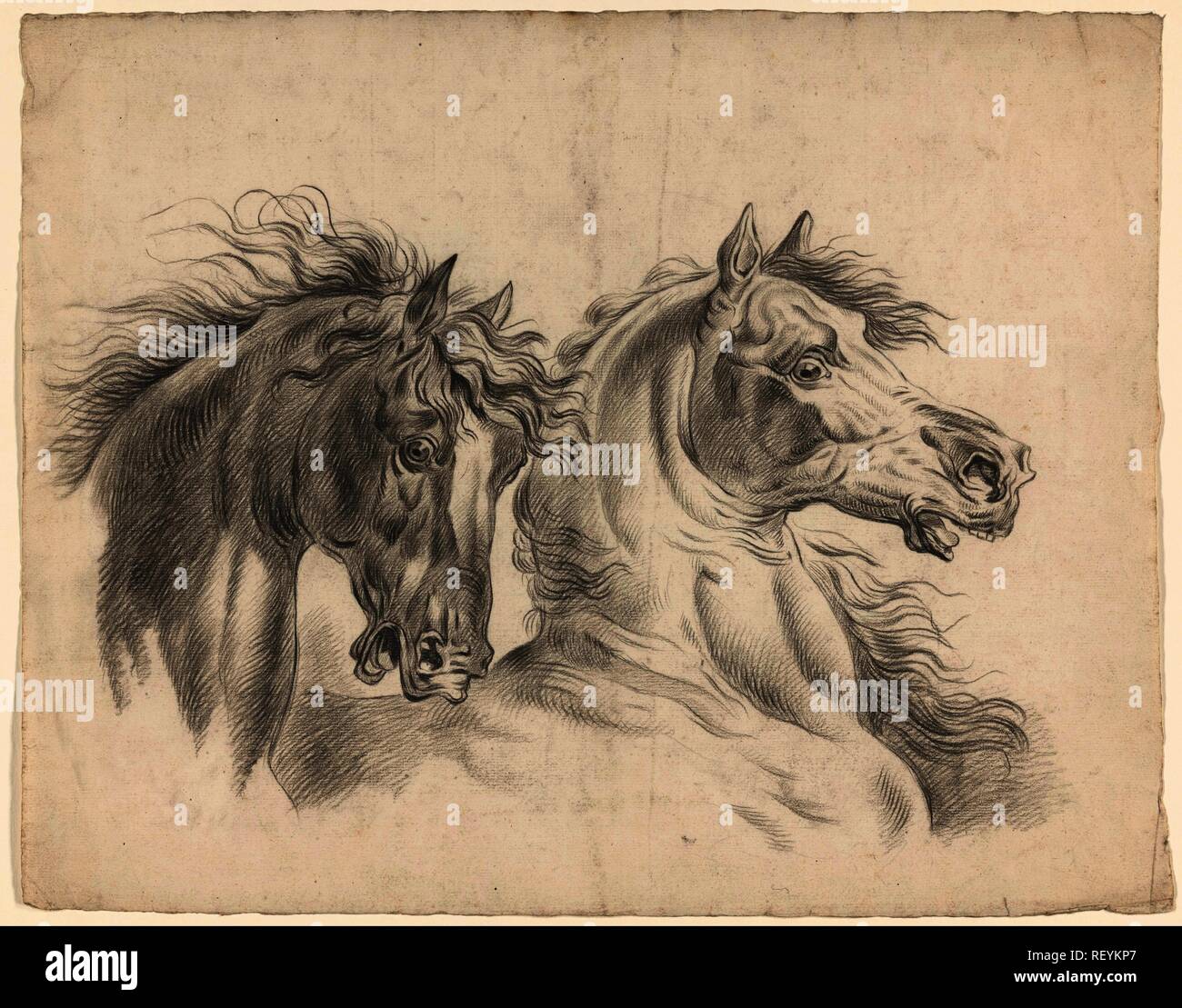 Two horse heads hi-res stock photography and images - Alamy
