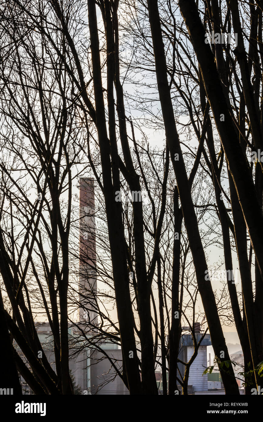 View of a smoke stack as seen through a forest of Spring trees before ...