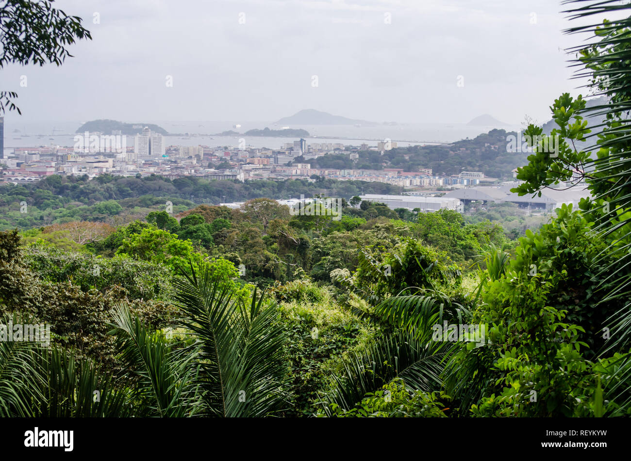 Parque natural metropolitano de panama hi-res stock photography and ...