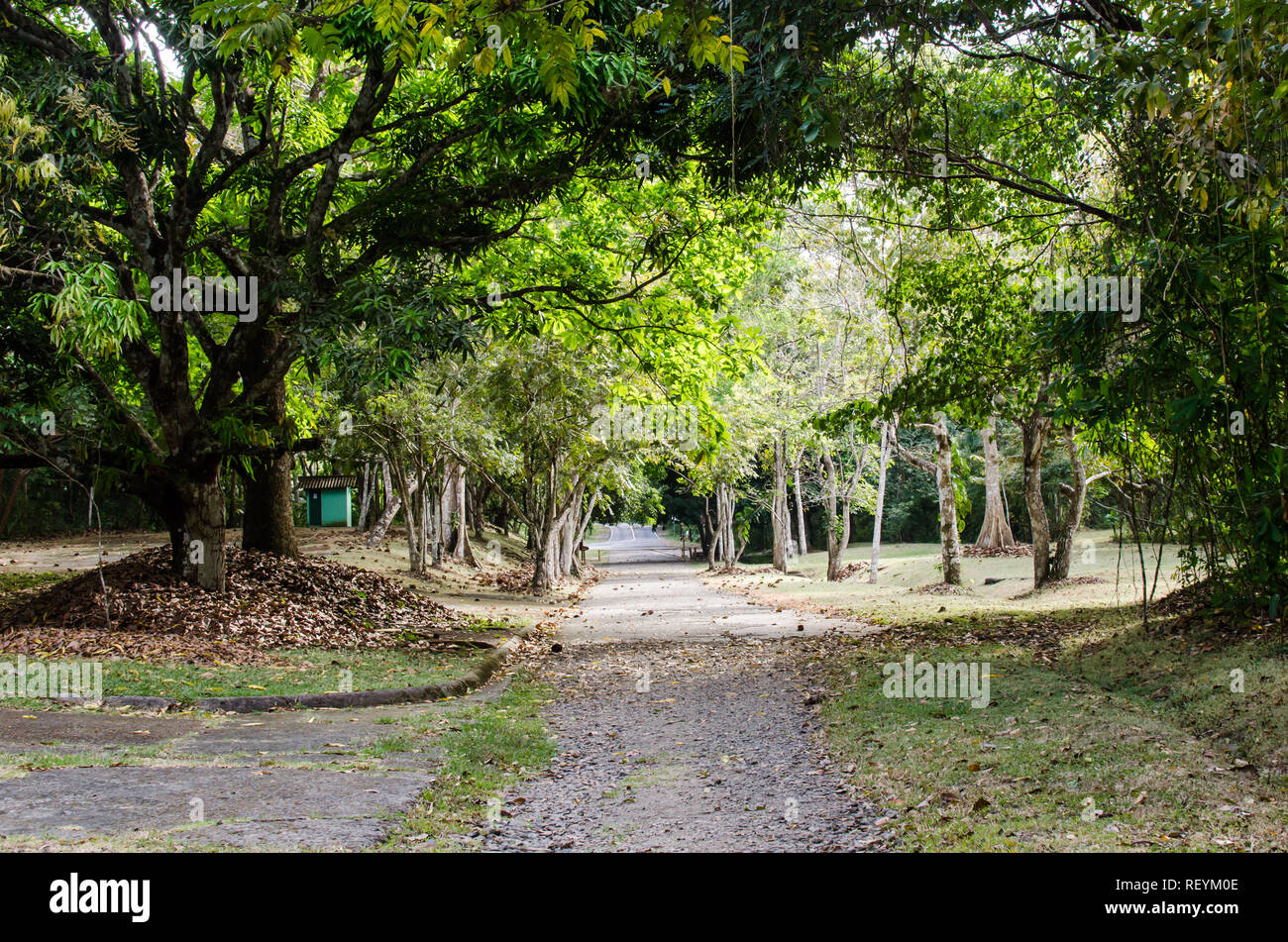Parque natural metropolitano panama hi-res stock photography and images ...