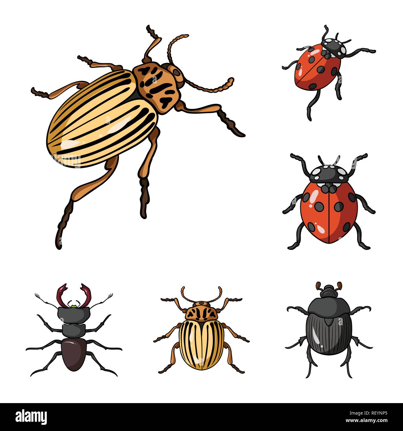 horn,ladybug,pest,bug,cockroach,insect,beetle,animal,halloween,drawn ...