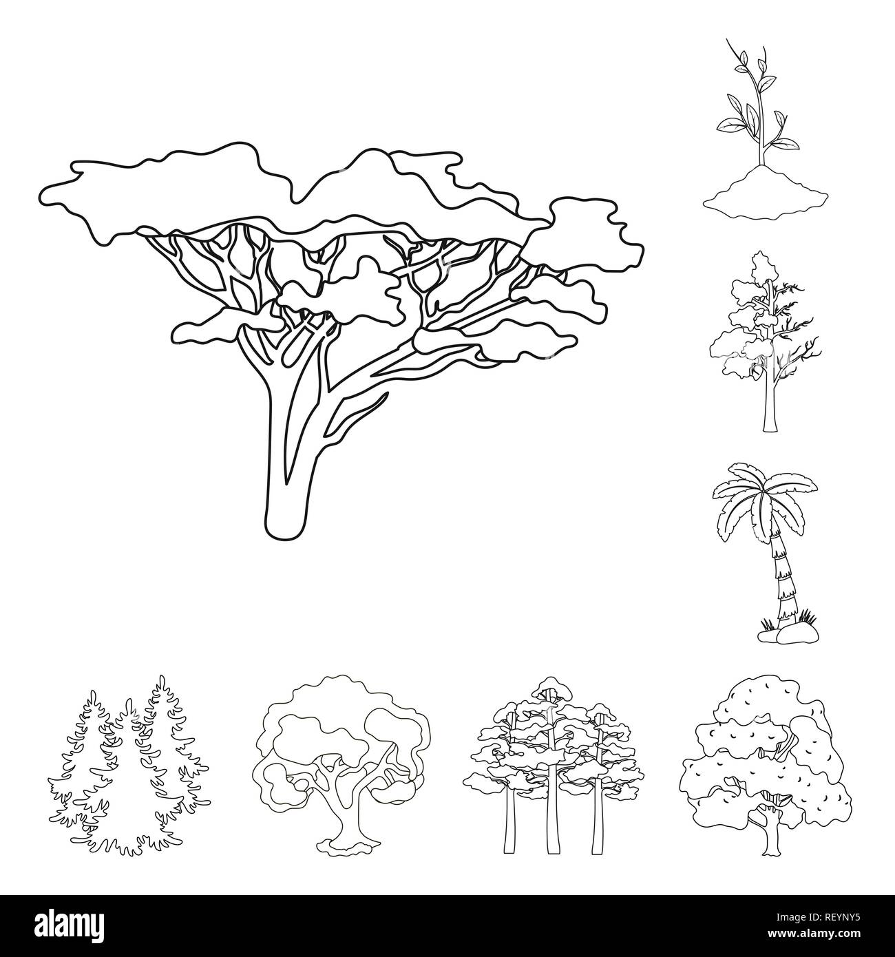 California oak tree Stock Vector Images - Alamy