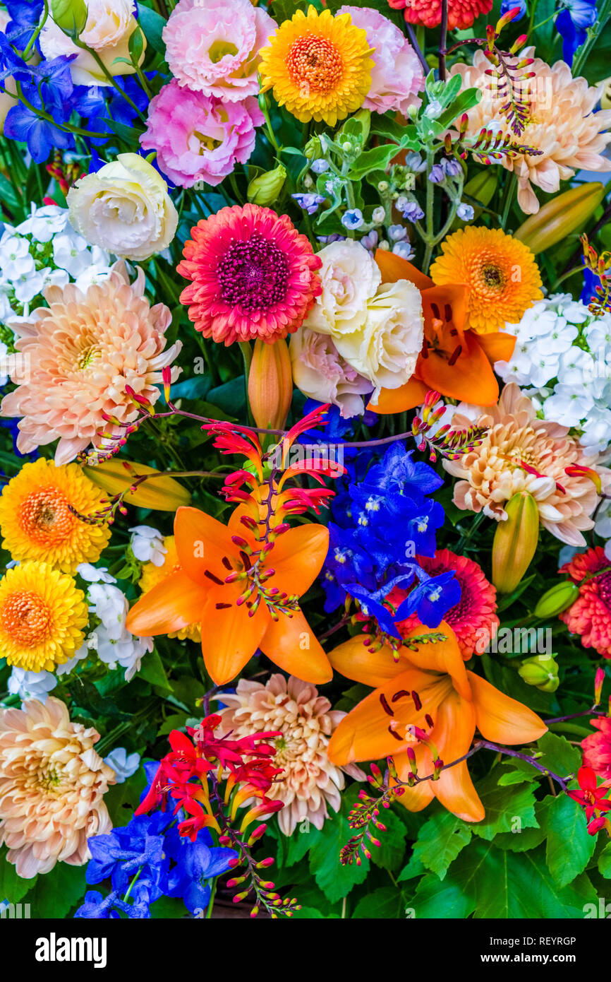 Colorful, beautiful arrangement of different blooming flowers Stock ...