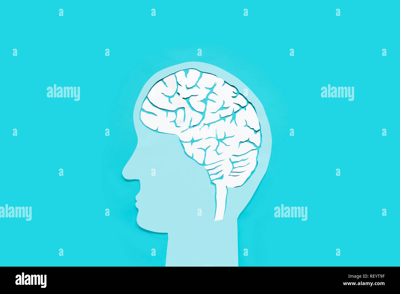 Paper cut is a brain shape. Face shapes and brain are the main ...