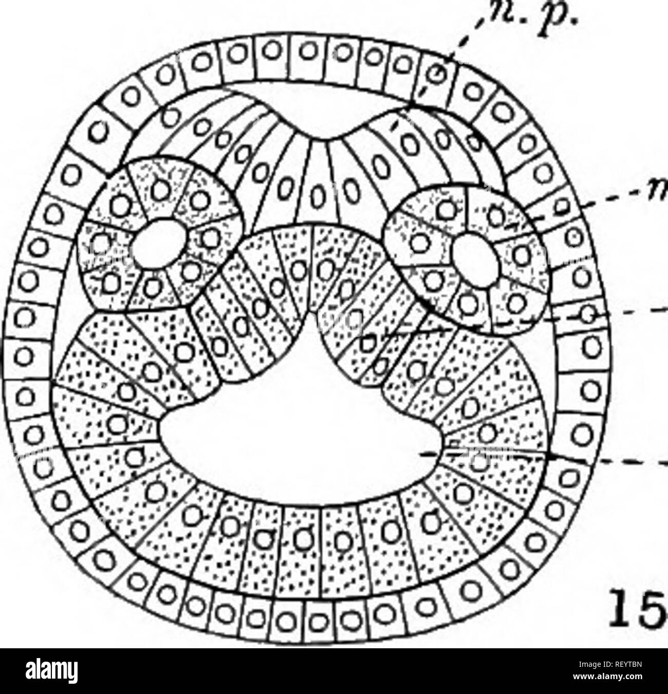 Rs 485 hi-res stock photography and images - Alamy