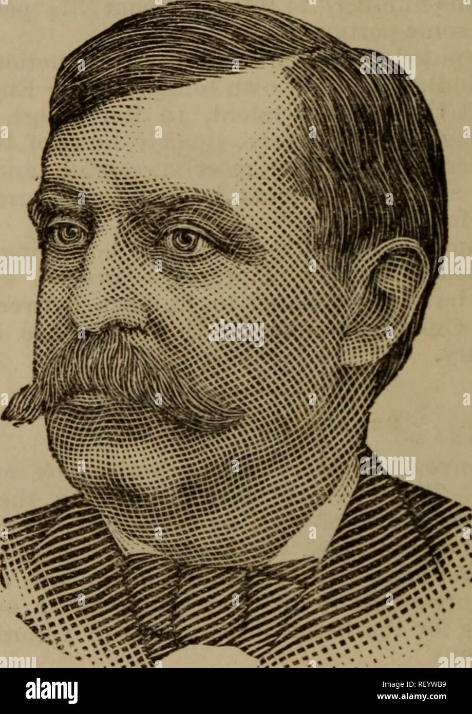 "A bird's eye view of our federal government" (1888 Stock Photo - Alamy