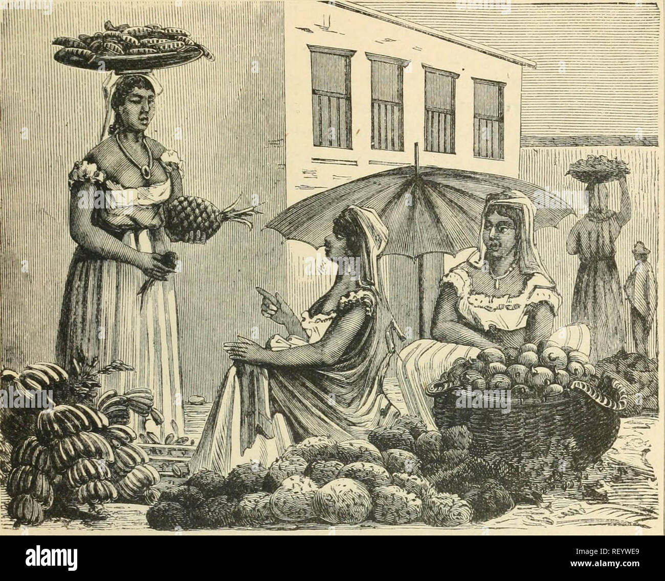 "The world's inhabitants; or, Mankind, animals, and plants; being a ...