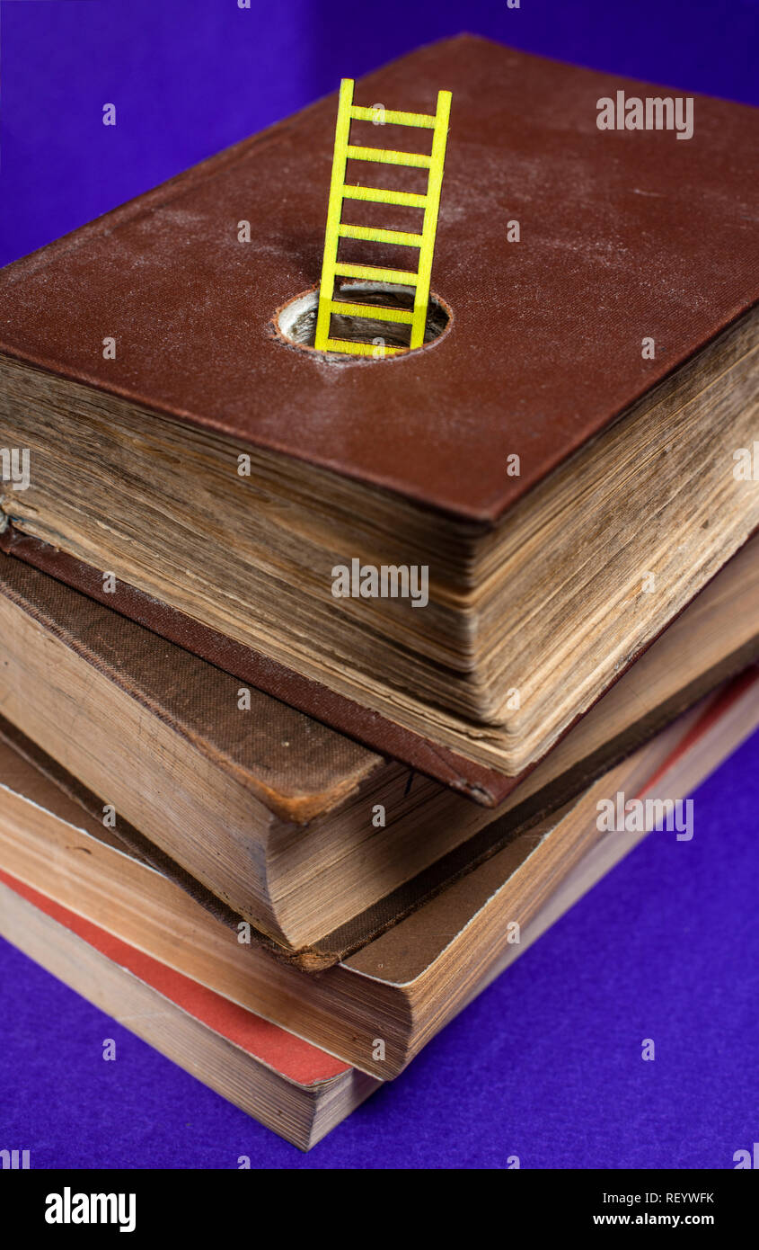 Stacked books and small ladder appear from inside the book. Abstract ...