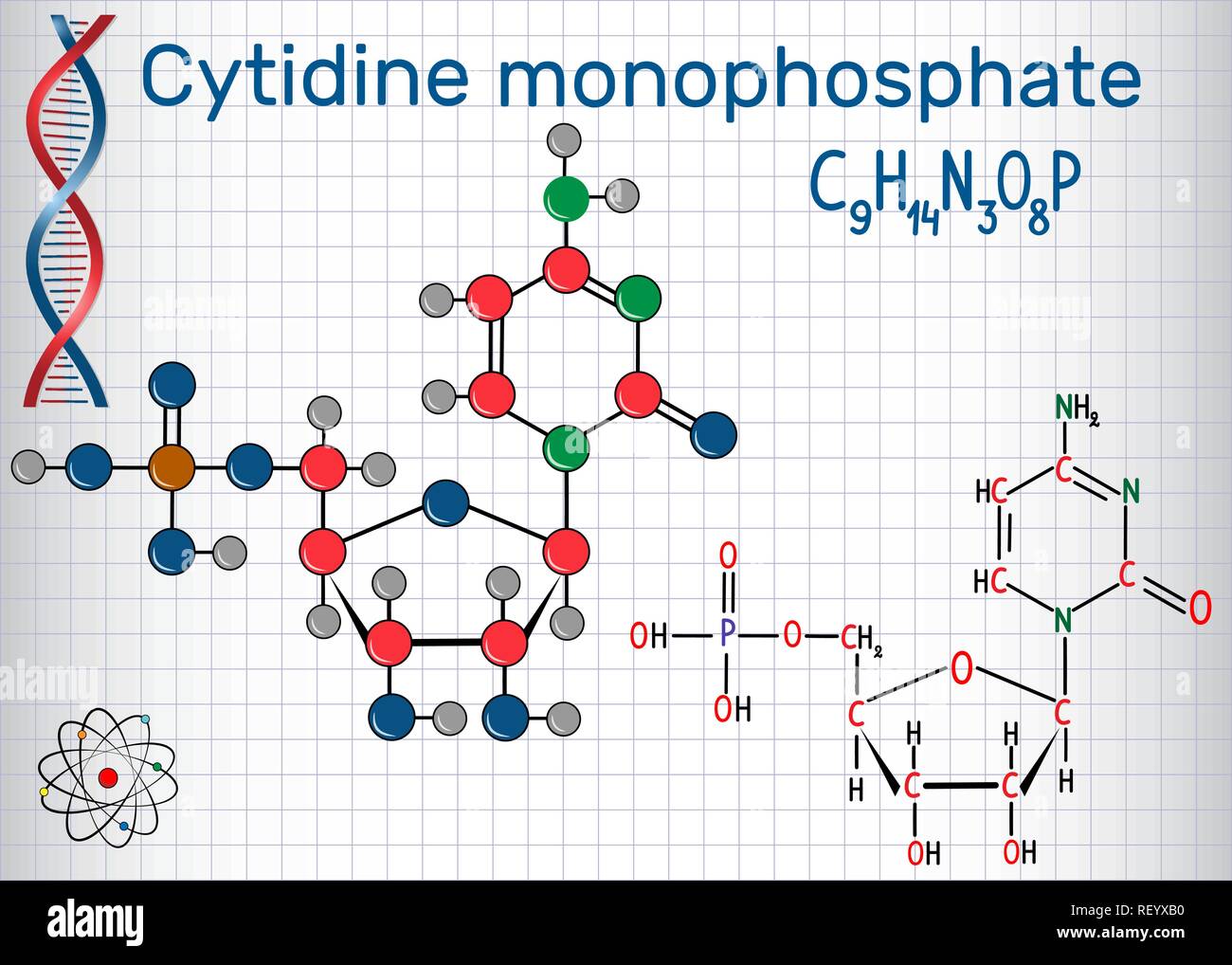 Cytidine monophosphate (CMP) molecule, monomer in the RNA . Sheet of ...