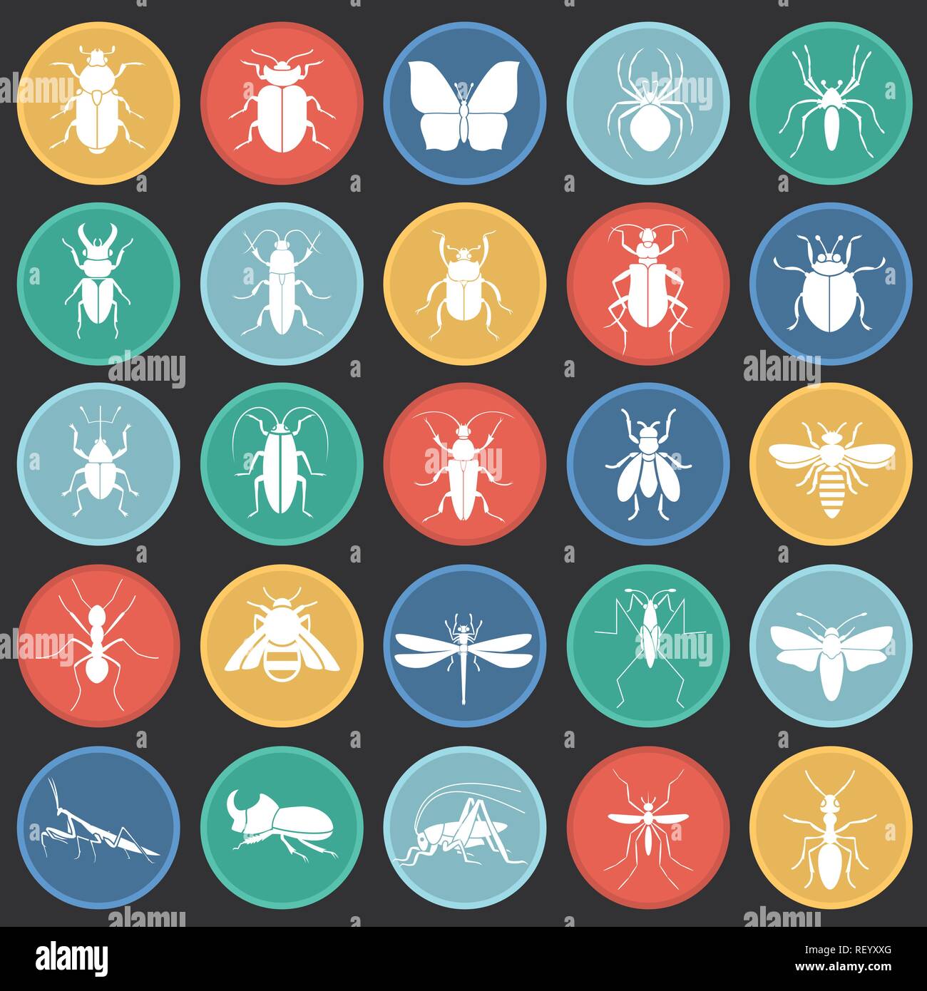 Insects icons set on color circles black background for graphic and web ...
