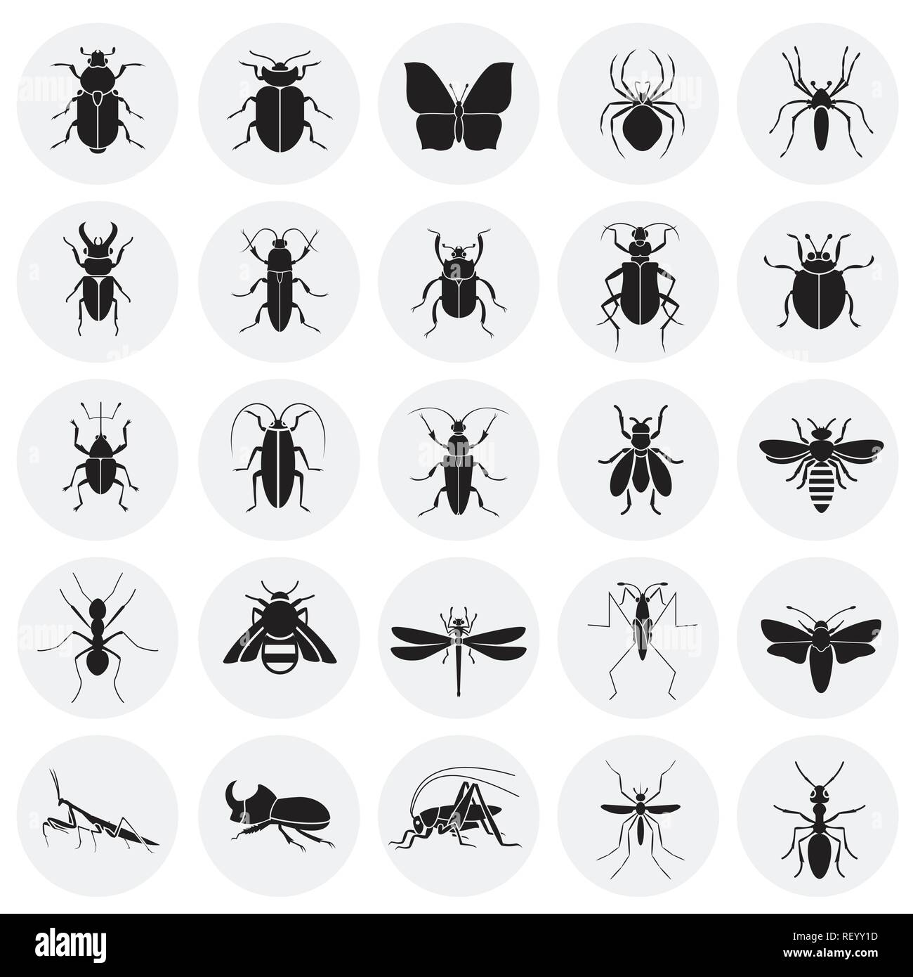 Insects icons set on circles background for graphic and web design ...