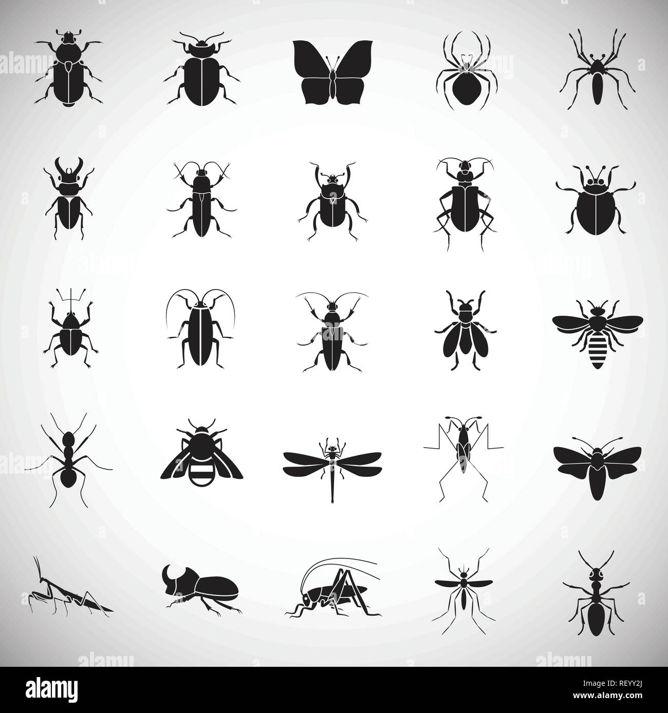 Insects icons set on white background for graphic and web design ...