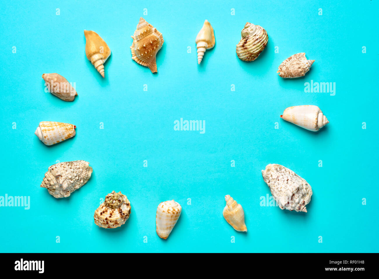 Flat lay. Top view. Frame of shells of various kinds on a blue ...
