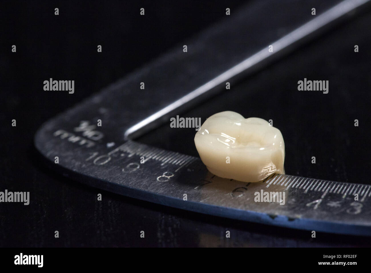 Acrylic teeth and dental instruments. Stomatologic instrument, close up ...