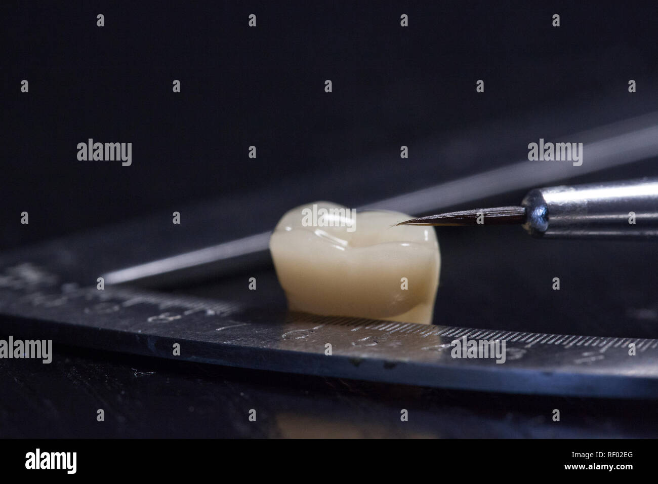 Acrylic teeth and dental instruments. Stomatologic instrument, close up ...