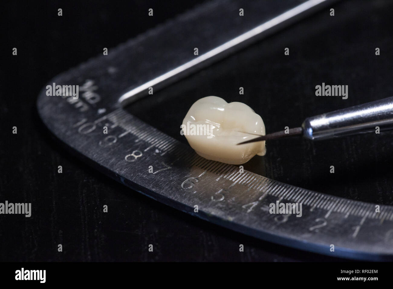 Acrylic teeth and dental instruments. Stomatologic instrument, close up ...