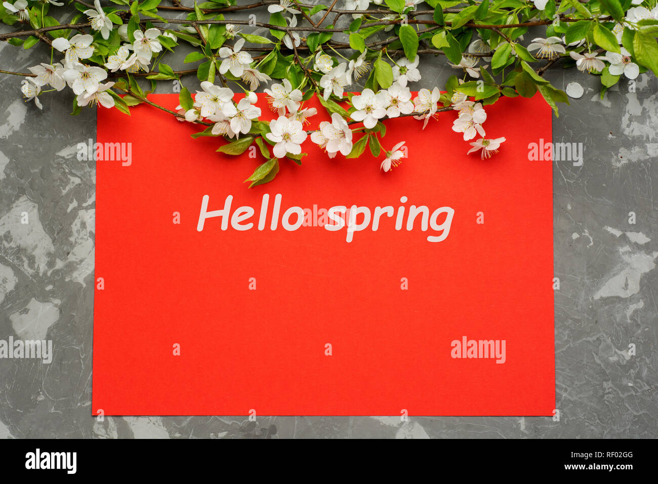 Beautiful Spring banner with fresh tree blossome against concrete ...