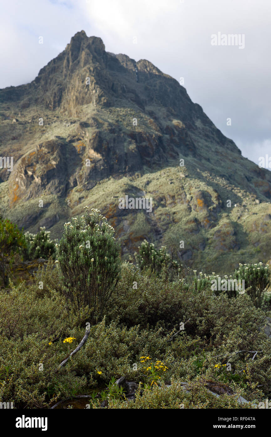 Hunwicks camp hi-res stock photography and images - Alamy