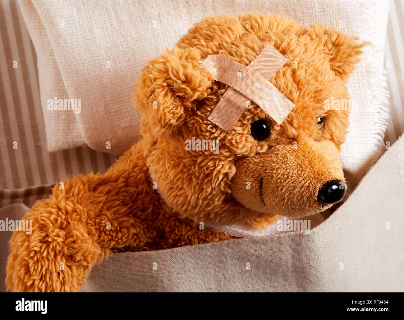 Healthcare concept with teddy bear with sticking plaster on head Stock ...