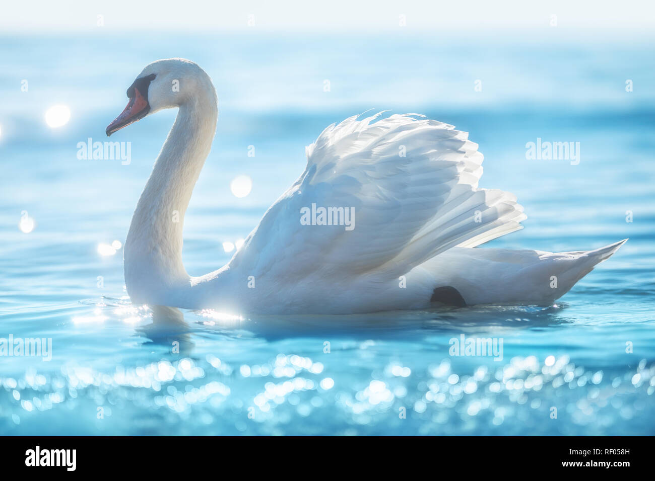 Beautiful shot calm bright hi-res stock photography and images - Alamy