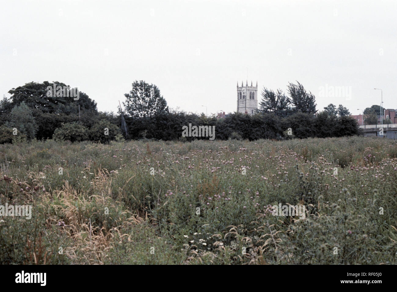 The overgrown and derelict remains of Retford Town FC Football Ground ...