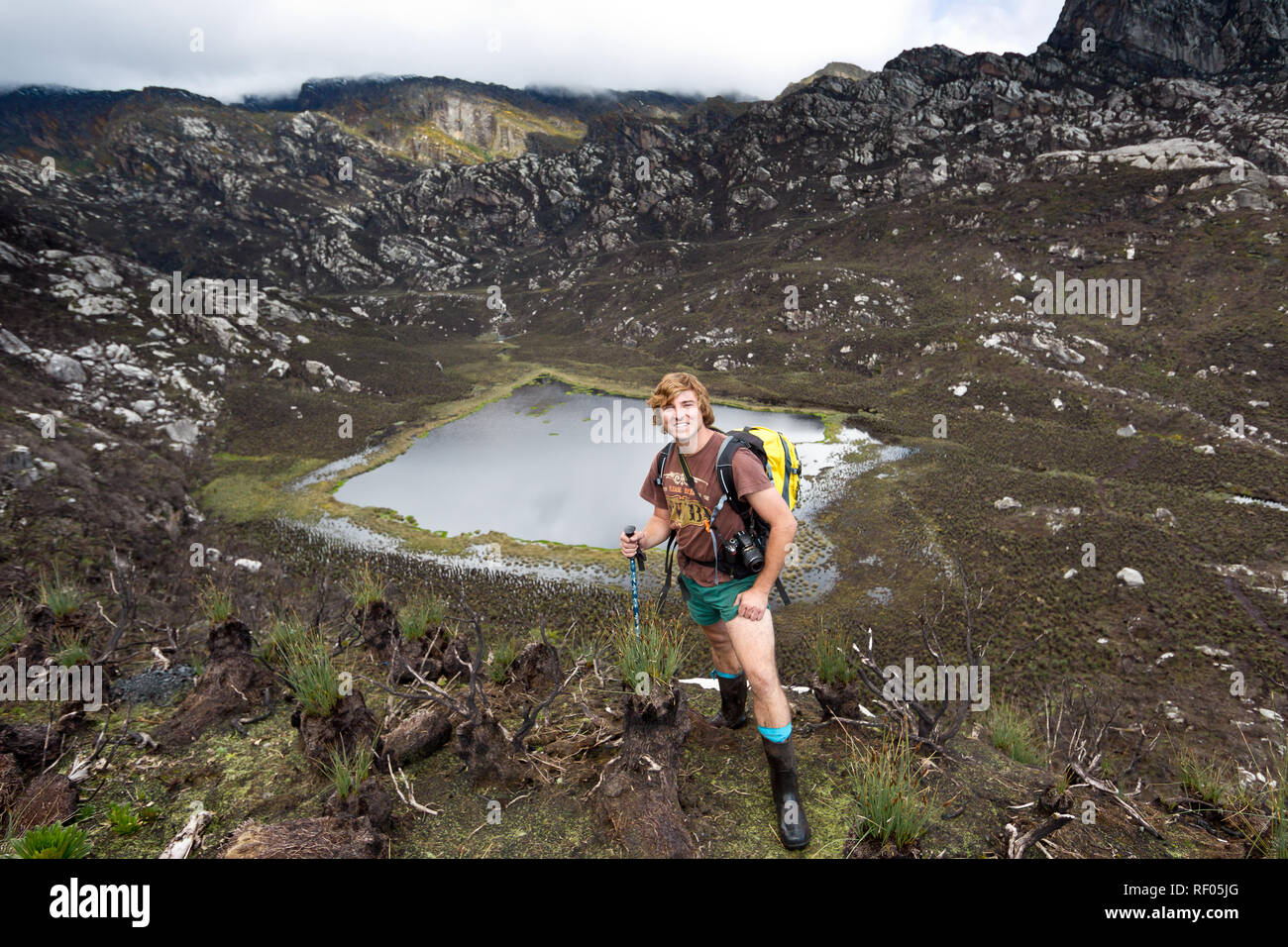 On Day 3 of the Kilembe Route through Rwenzori National Park, Uganda ...