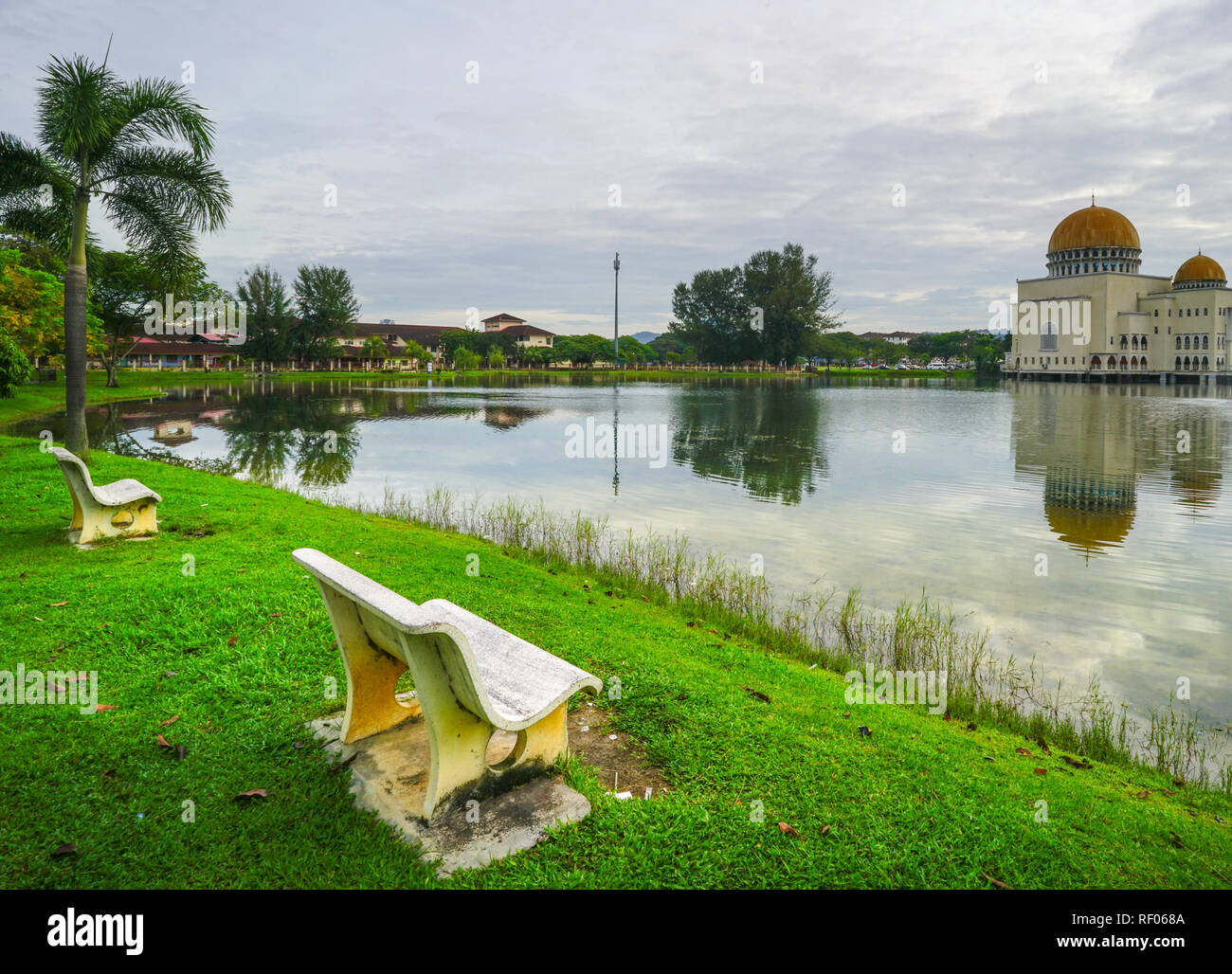 Relaxing green park by the lake Stock Photo - Alamy