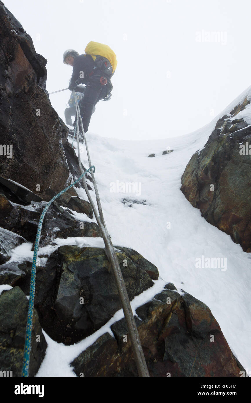 On day 6 of the Kilembe Route, Rwenzori National Park, Uganda, hikers ...