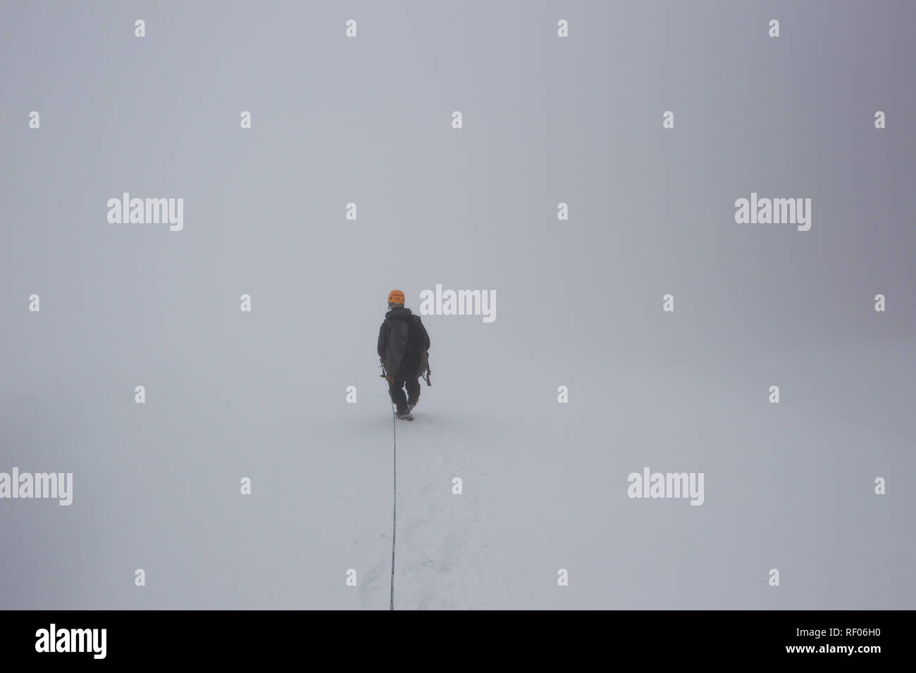 On day 6 of the Kilembe Route, Rwenzori National Park, Uganda, hikers ...