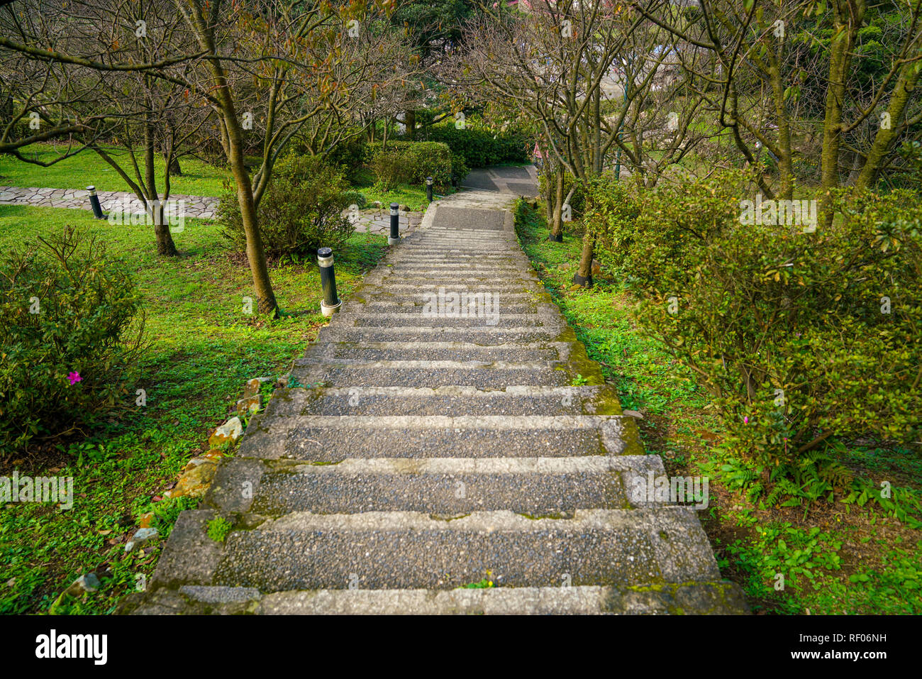 Pathway down the hill surrounded by green nature Stock Photo - Alamy