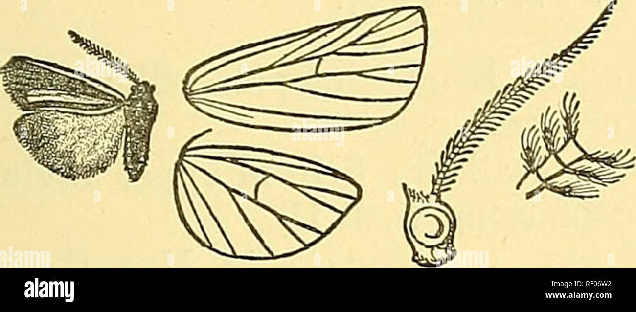 Coin from below angle hi-res stock photography and images - Alamy