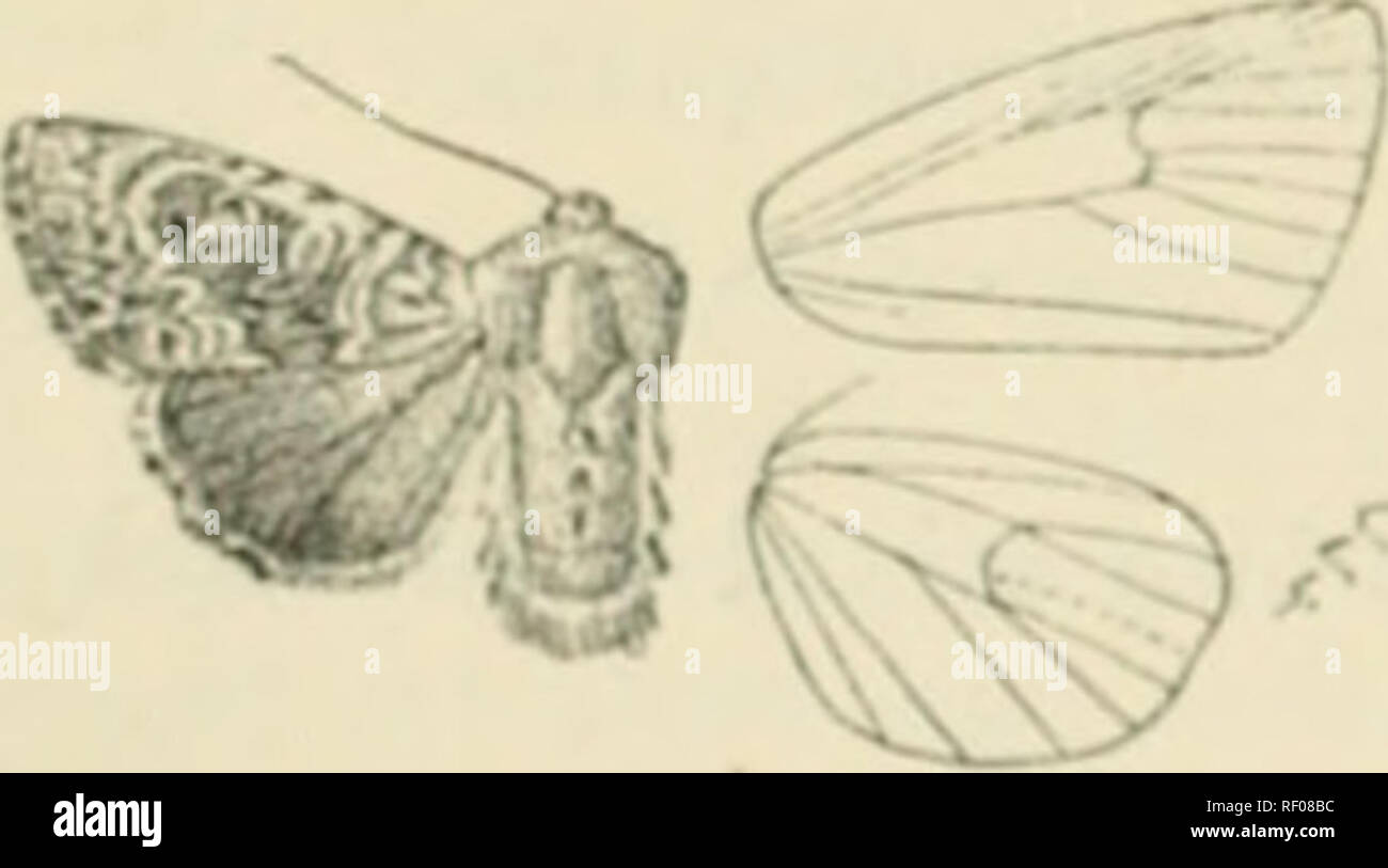 Ithic hi-res stock photography and images - Alamy