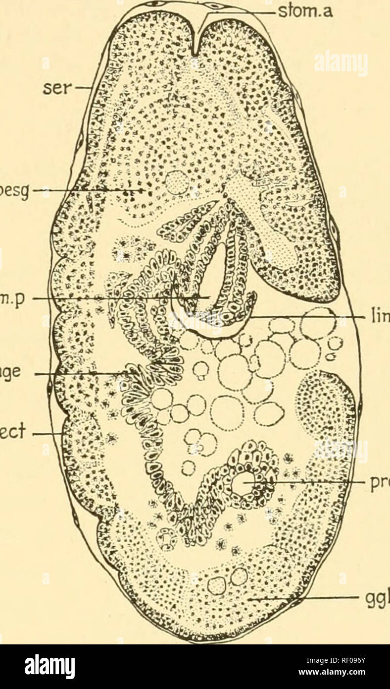 . Embryology of insects and myriapods; the developmental history of ...