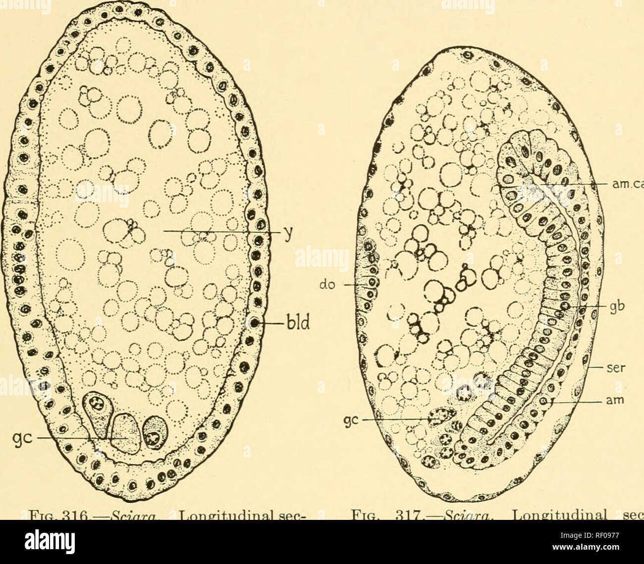 Blunt Triangle High Resolution Stock Photography and Images - Alamy