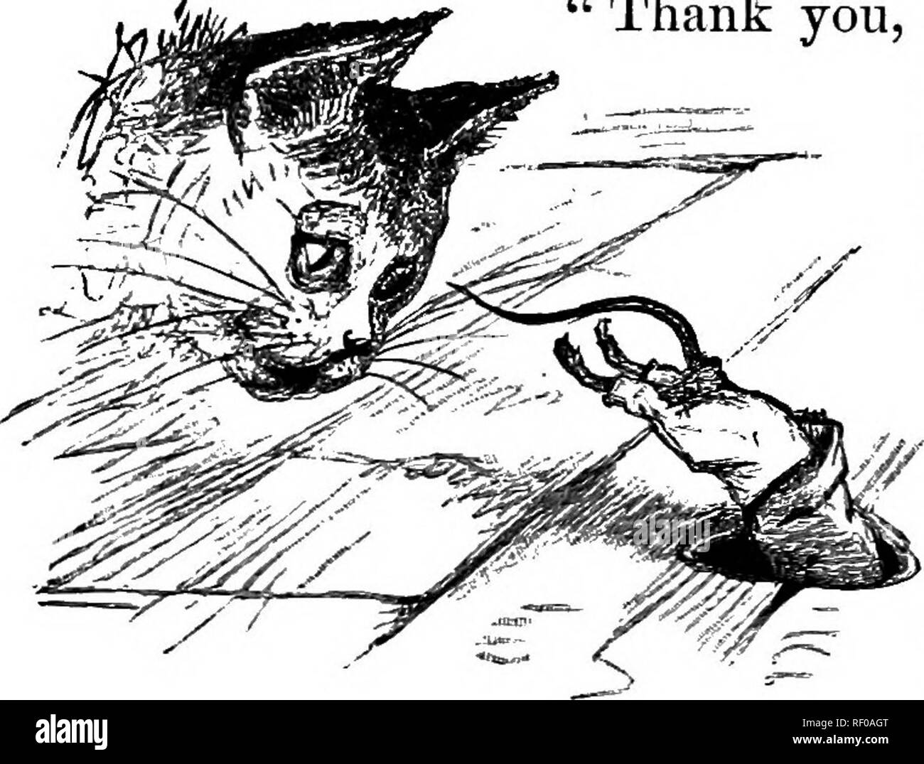 Old wise mouse hi-res stock photography and images - Alamy