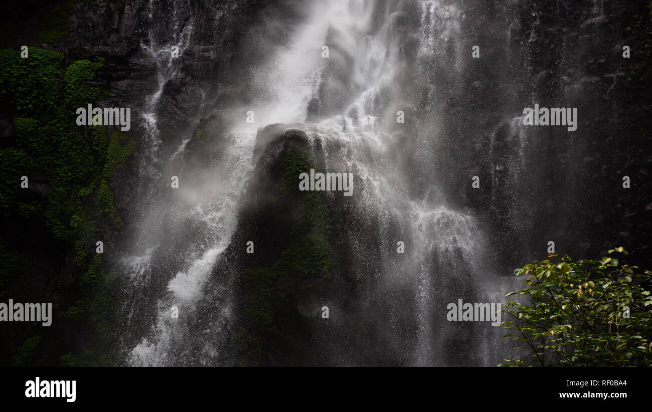 waterfall in green rainforest. triple tropical waterfall Sekumpul in ...