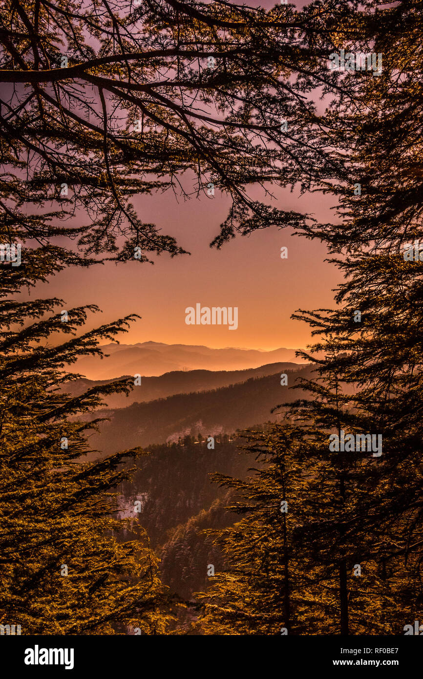 Morning raga hi-res stock photography and images - Alamy