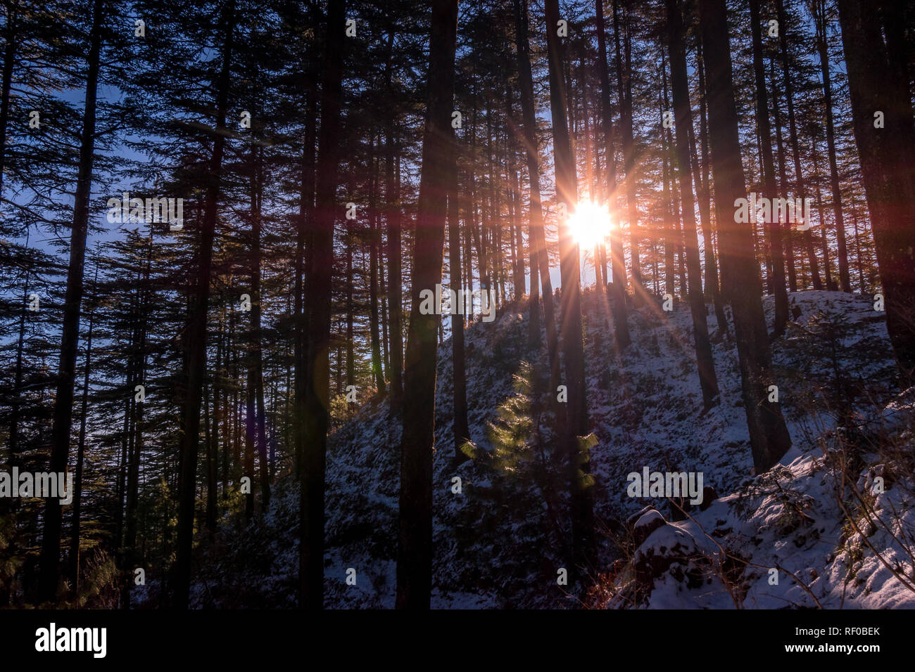 Himachal Family High Resolution Stock Photography and Images - Alamy