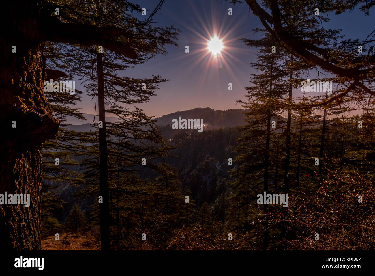 Morning raga hi-res stock photography and images - Alamy