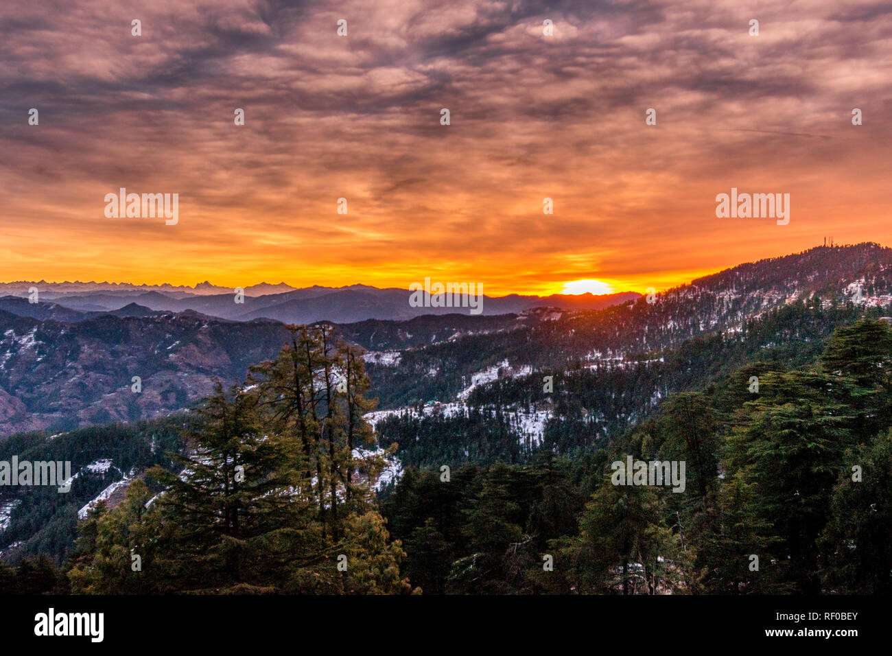 Himachal family hi-res stock photography and images - Alamy