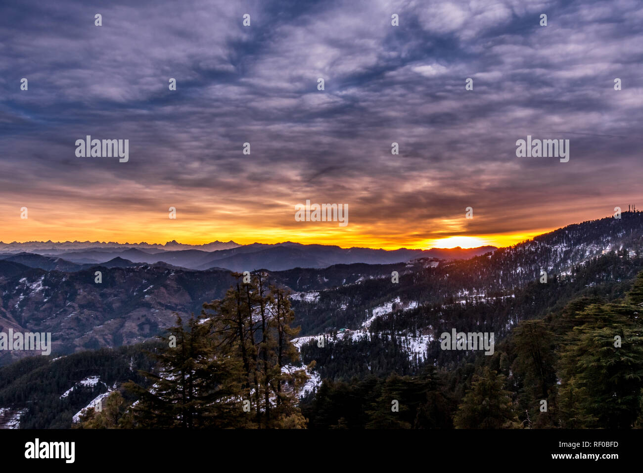 The morning raga! Stock Photo - Alamy